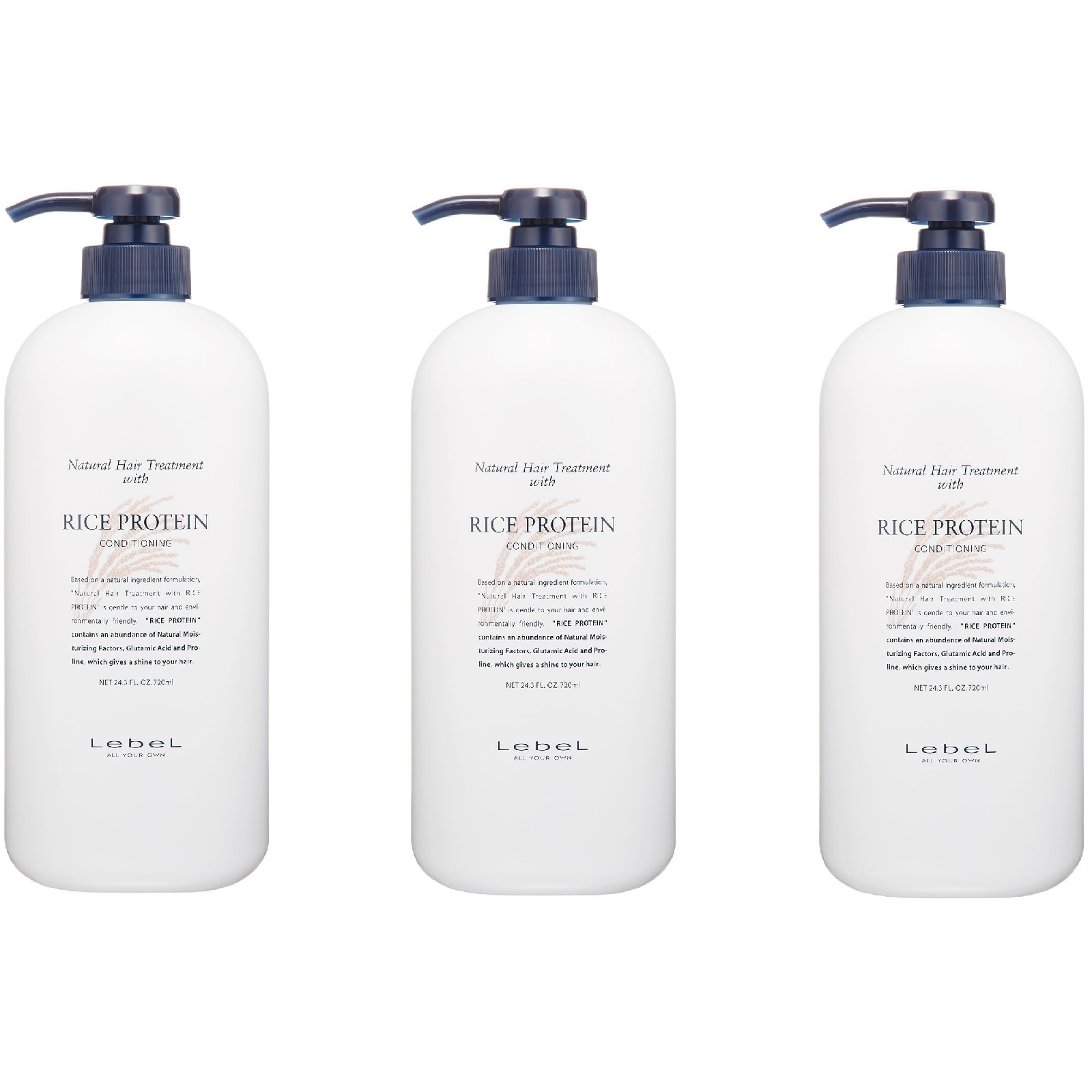 Lebel Natural Hair Treatment with Rp (Rice Protein) 24.48oz 720ml Set ...